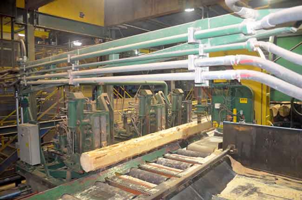 Timber production line :: Commerzwoodpelletltd
